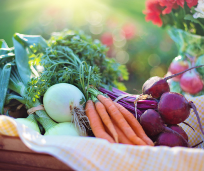 My budget, my gesin en gesond eet-hoe maak ek? - Carien Meyer